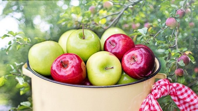 How Long Do Apples Last? Keep Them Fresh & Crisp - Pantry Tips