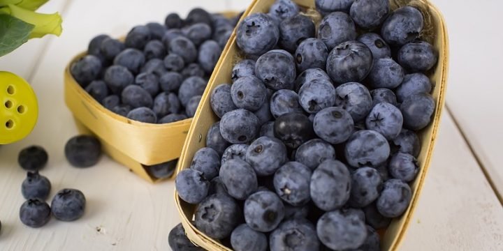 How Long Do Blueberries Last? Best Preserving Tips - Pantry Tips
