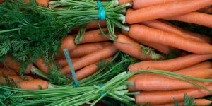 How Long Do Carrots Last? Storage Tips – Pantry Tips