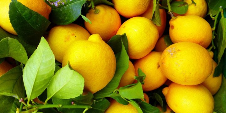 How Long Do Lemons Last? - Pantry Tips