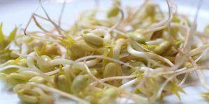 Can You Freeze Bean Sprouts? Keep Them Fresh Longer - Pantry Tips