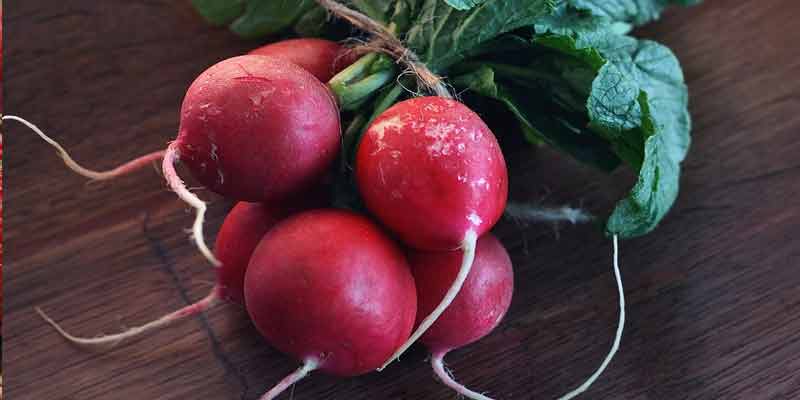 Do Radishes Go Bad? - Pantry Tips
