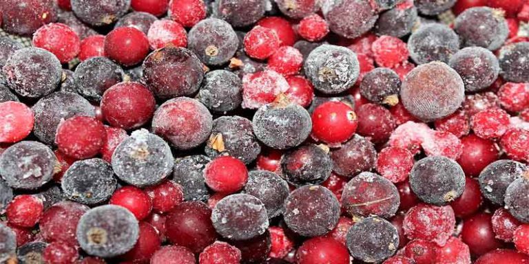 Do Cranberries Go Bad? - Pantry Tips