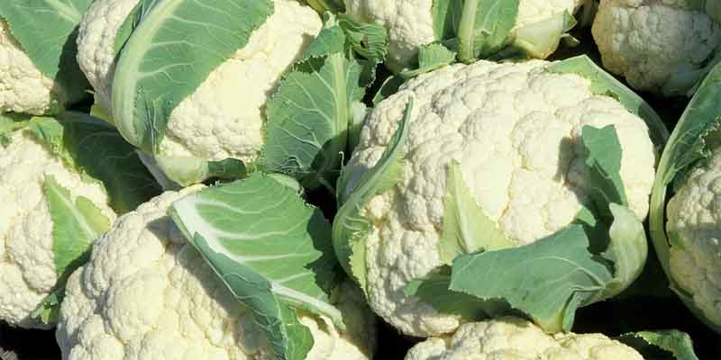 How Long Does Cauliflower Last? Tips To Keep Them Fresh Longer - Pantry ...