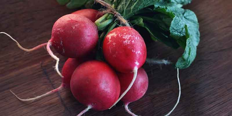 Can You Freeze Radishes? - Pantry Tips