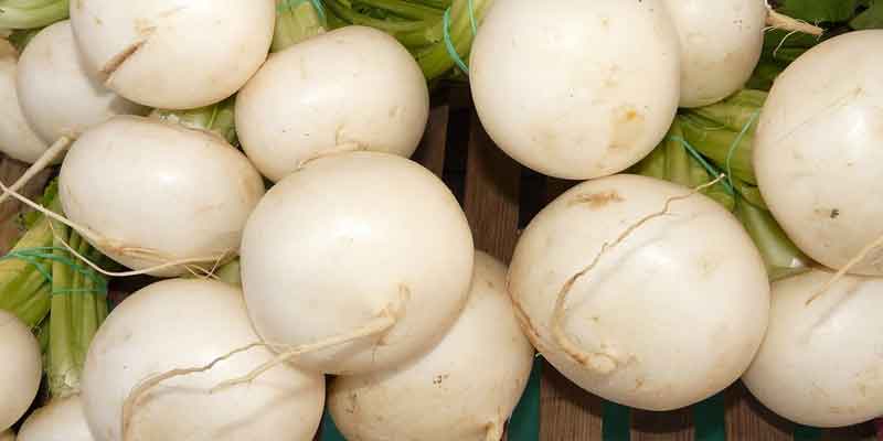 Can You Freeze Turnips? - Pantry Tips