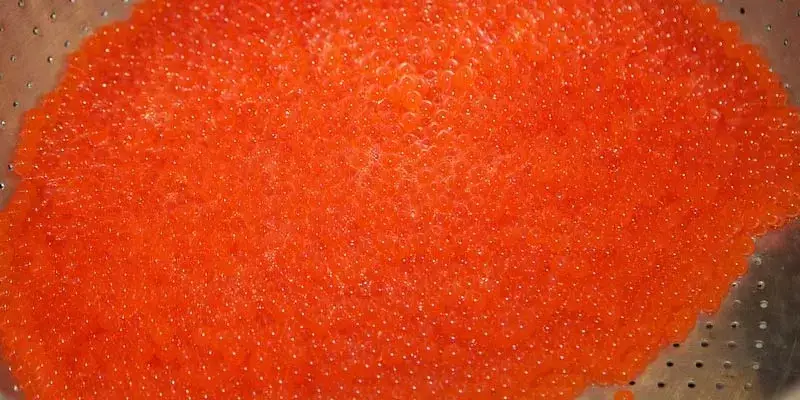 Can You Freeze Salmon Roe? - Pantry Tips