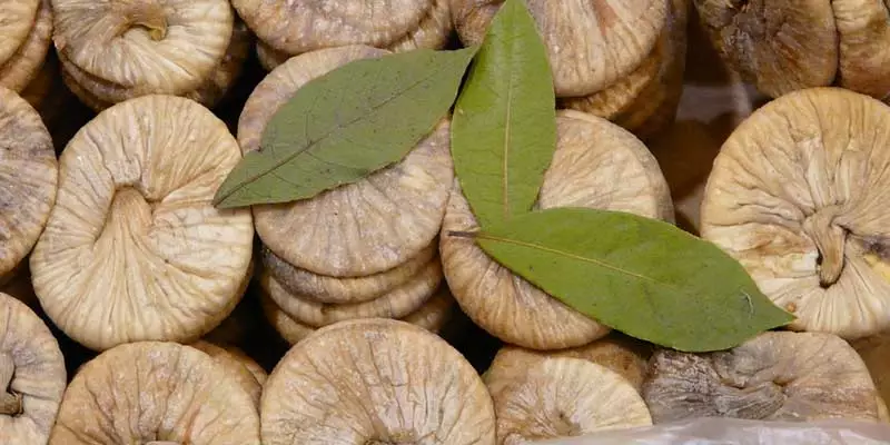 Do Dried Figs Go Bad? Tips To Keep Them Fresh Longer - Pantry Tips