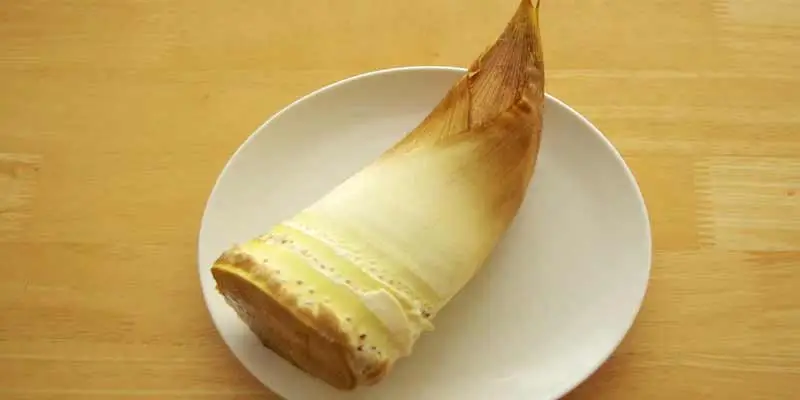 Can You Eat Bamboo Shoots? - Pantry Tips